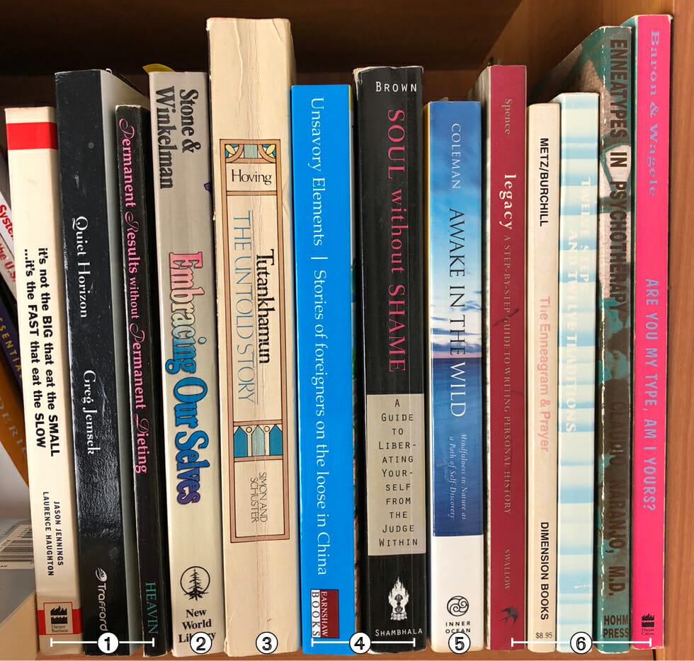 A Quick Look At The Fine Art Of Book Spine Design The Book Designer