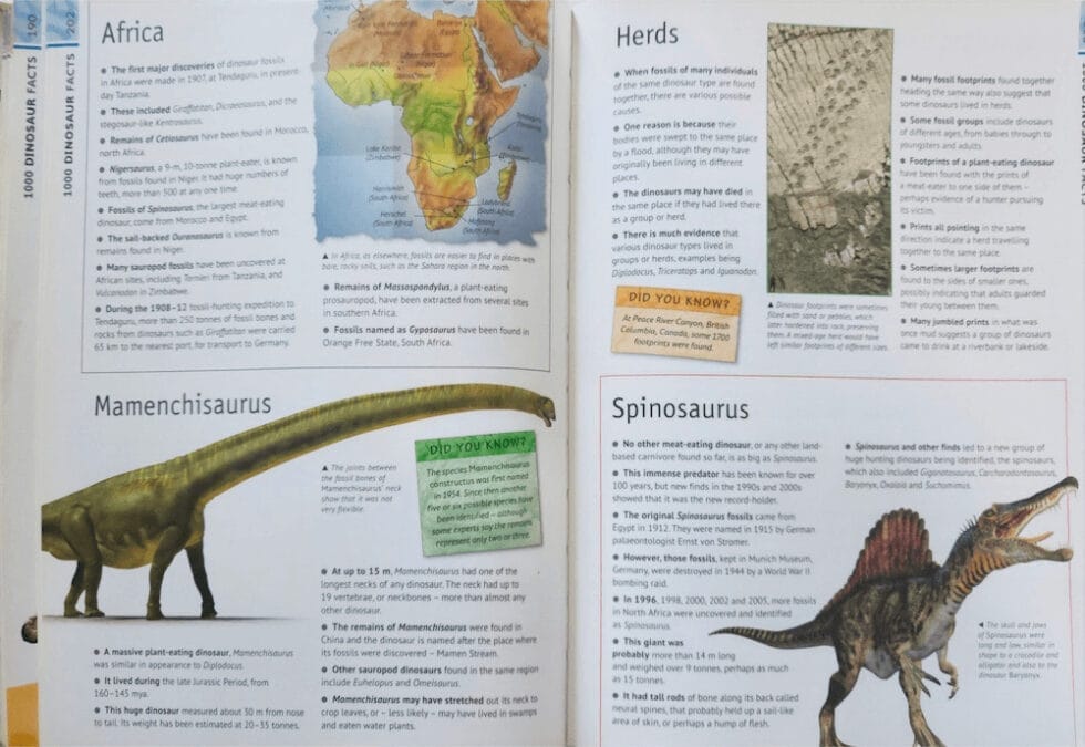 Sidebar Design: Creating Standout Nonfiction Books (+ 8 Best Practices ...